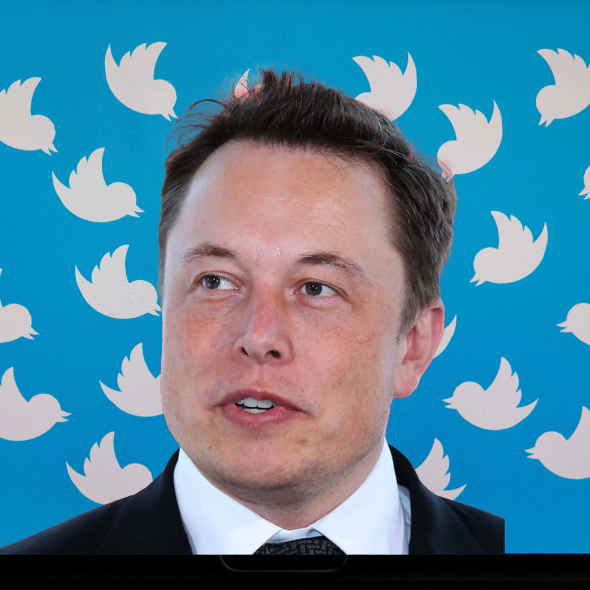Elon Musk Says He Has Found New Chief executive To Lead Twitter - Beach ... Elon Musk Says He Has Found New Chief executive To Lead Twitter - Beach ...